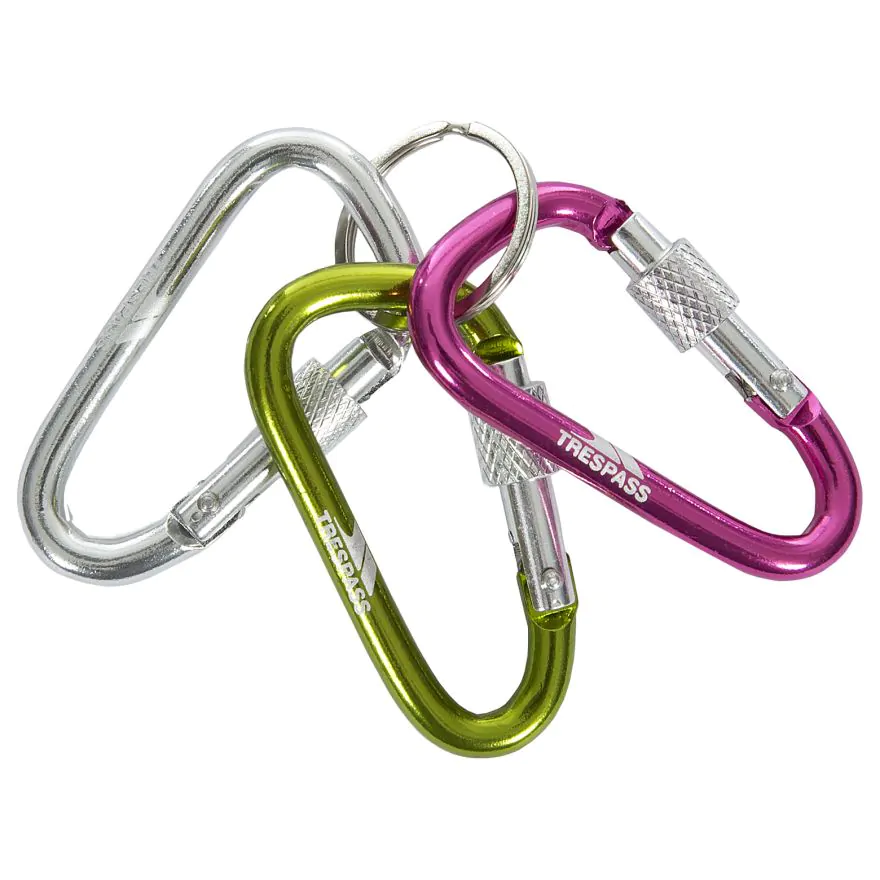 carabiner keyring